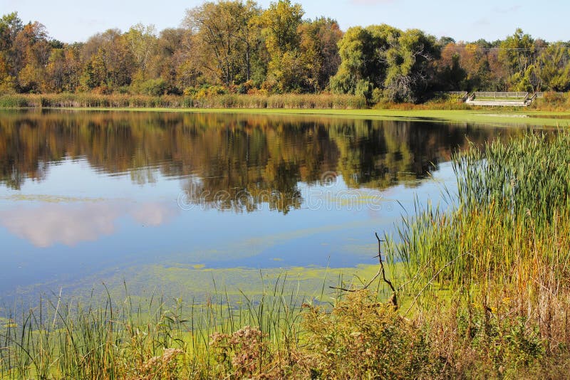 Autumn Pond stock image. Image of beautiful, lake, michigan - 98404135