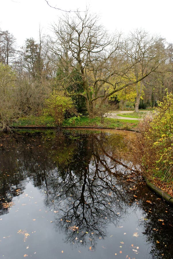 Pond at Tiergarten, Berlin stock photo. Image of garden - 7210898