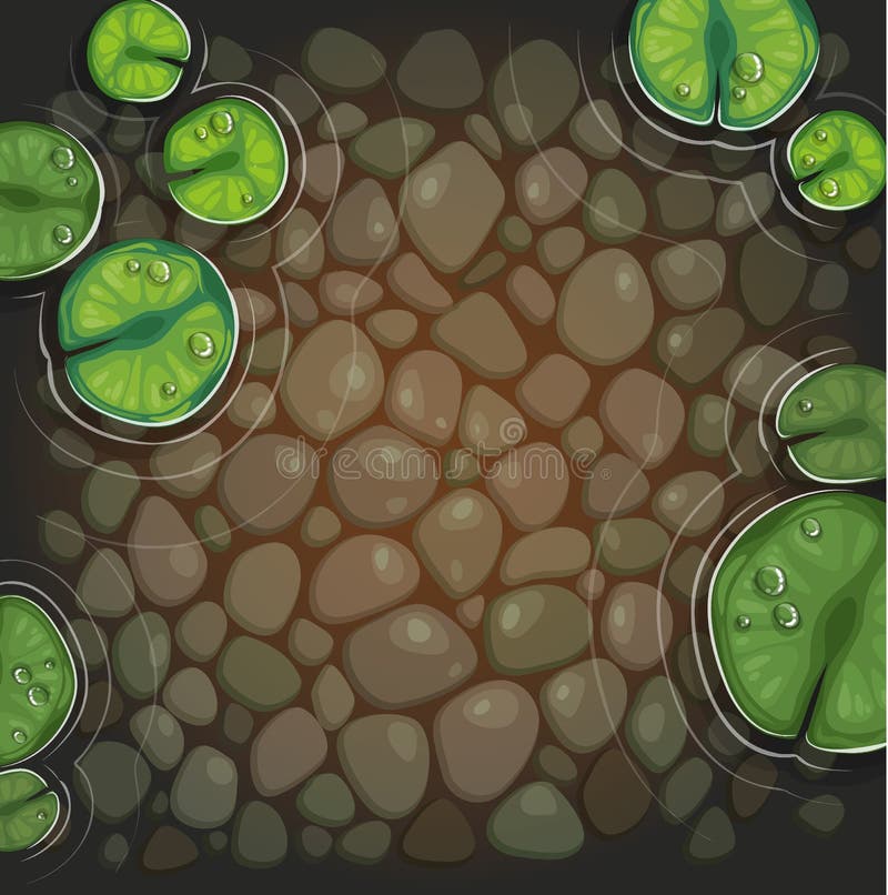 Pond top view stock vector. Illustration of leaves, stones - 79707664