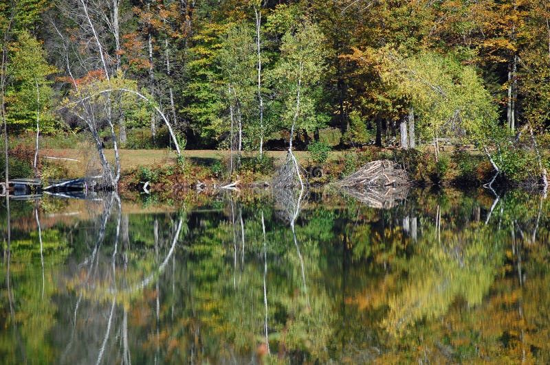 Fall Reflections Picture. Image: 17390715