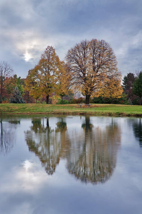 Pond and Trees stock photo. Image of green, pastoral - 12921466