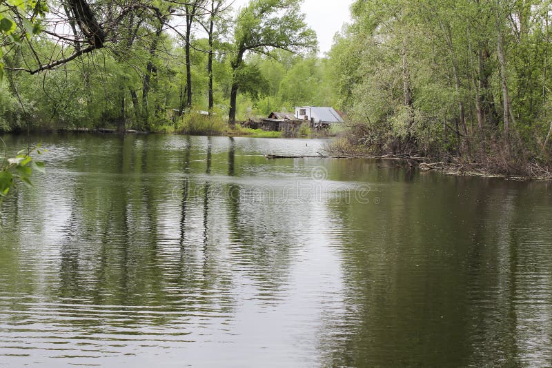 The pond, trees and hut stock image. Image of green - 123429451