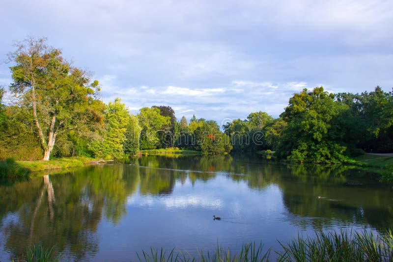 A pond with trees stock photo. Image of park, reflecting - 100228972