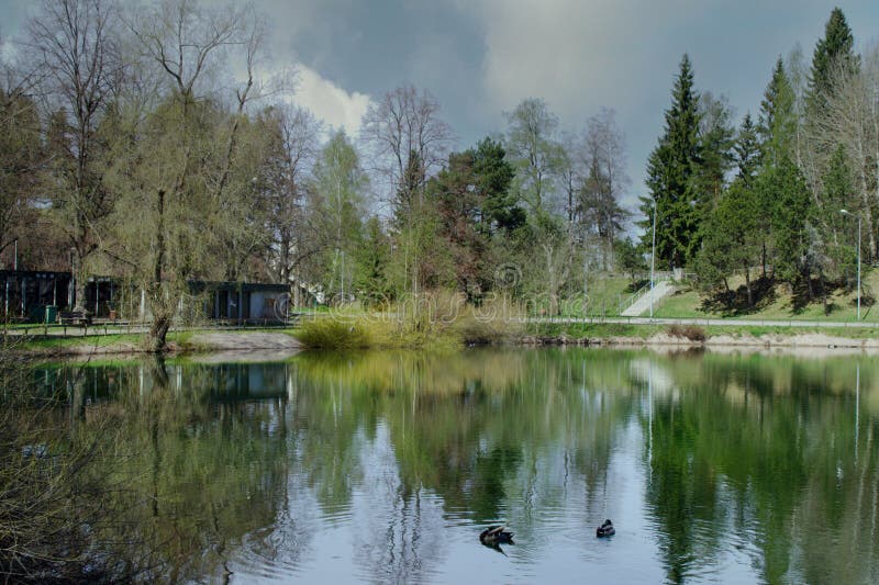 A Pond and Trees in a Park in Early Spring Stock Photo - Image of river ...