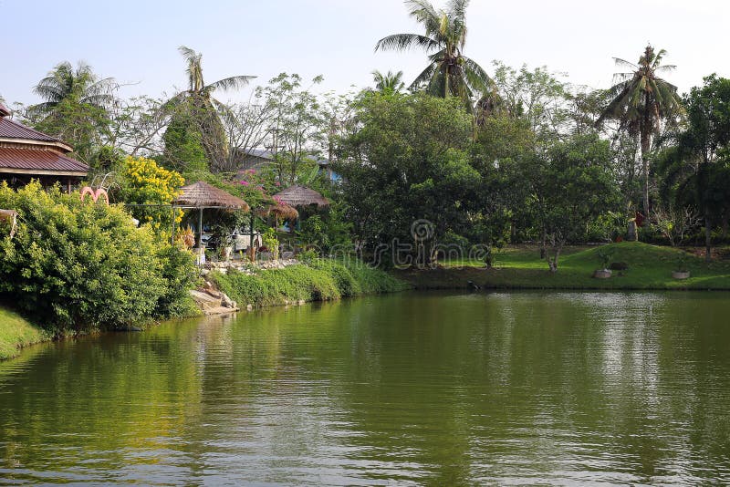 Pond stock image. Image of trees, nature, green, sunny - 107881255