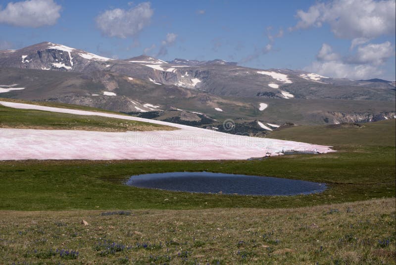 Pond and Tundra in the Beartooth Mountains Stock Image - Image of ...