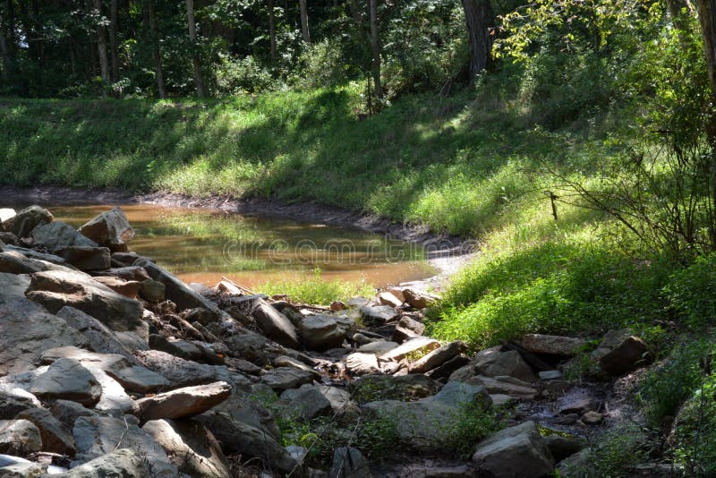 Pond view stock image. Image of managed, green, water - 98535295