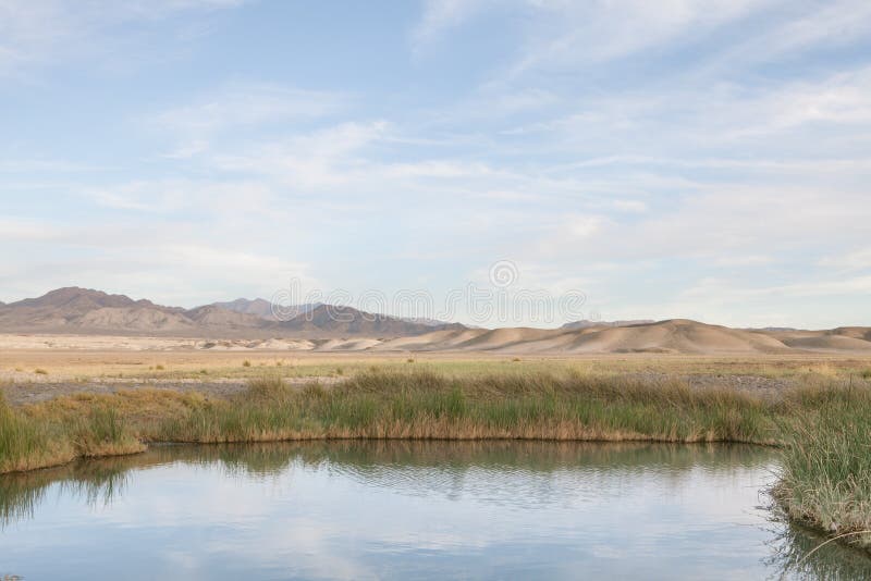 Pond stock photo. Image of park, california, canyon, landmark - 92761896