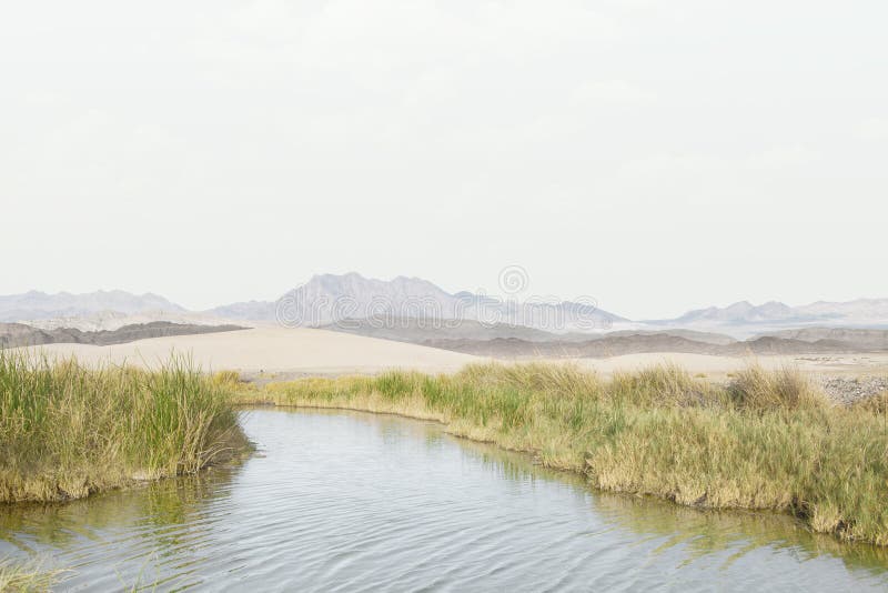 Pond stock photo. Image of source, tecopa, nevada, landscape - 94654334