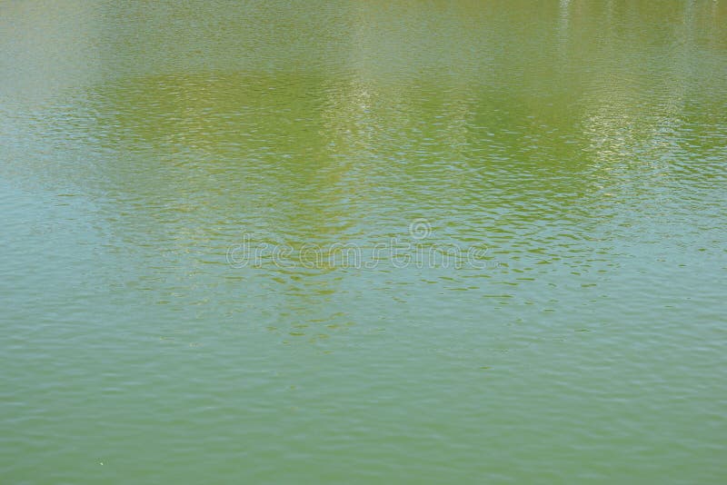 STILL POND WATER stock photo. Image of stagnant, color - 140728014
