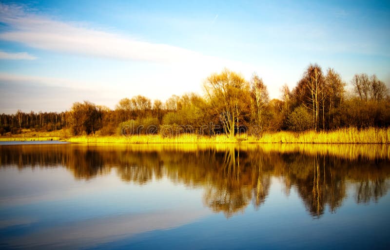 Pond Water Surface with Reflection Stock Photo - Image of colorful ...