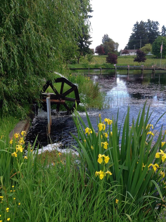 Pond with water wheel stock photo. Image of tranquil - 48836852