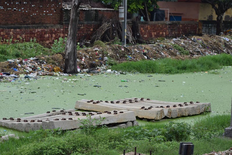 A Pond Which is Full of Waste Stock Image - Image of detail, dirty ...