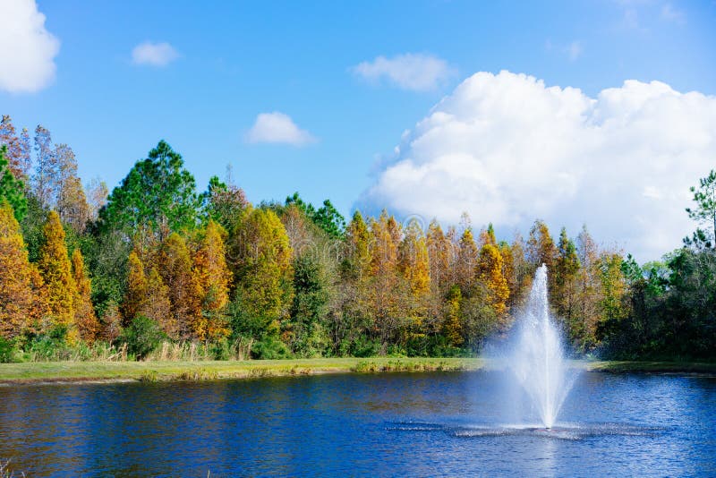 Pond and winter tree stock photo. Image of clearwater - 165982588
