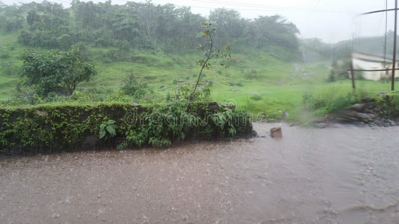 Ponds Feeling Happy with Cool Rain Fall during Monsoon Stock Photo ...