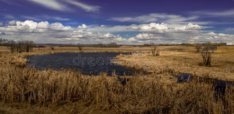 Ponds in the Field Red Deer County Alberta Canada Stock Photo - Image ...