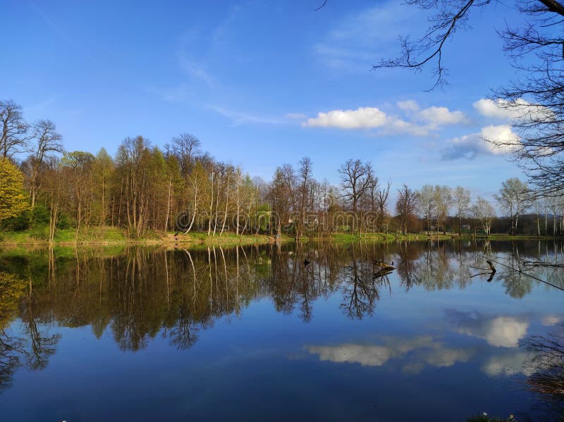 Ponds in Kobylanka. stock image. Image of poland, autumn - 234195897