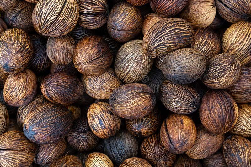 Pong Pong Tree Seeds Texture Stock Image - Image of backdrop, food ...