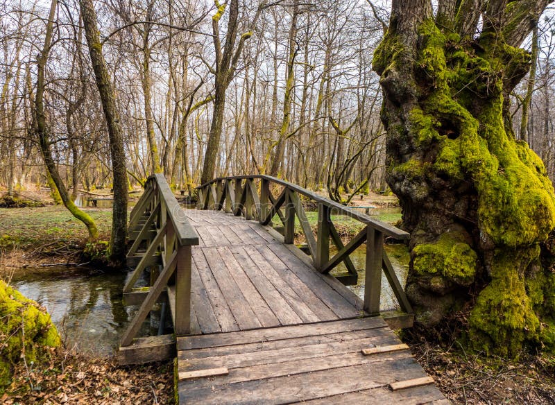 Petit pont en bois photo stock. Image du extérieur, nature - 44257030