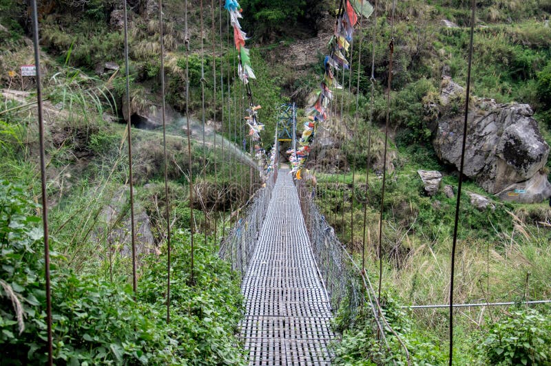 Pont De Oscillation De Pied Au-dessus De Ravin Image stock - Image du ...