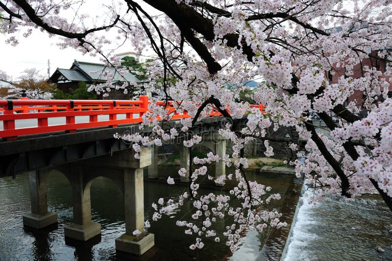 Ponte Di Nakabashi, Takayama, Giappone Fotografia Stock - Immagine di ...