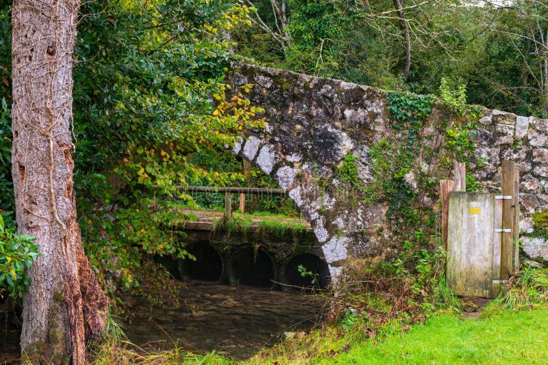 Ponte Medieval Curadora Em Asturias Foto de Stock - Imagem de curso ...
