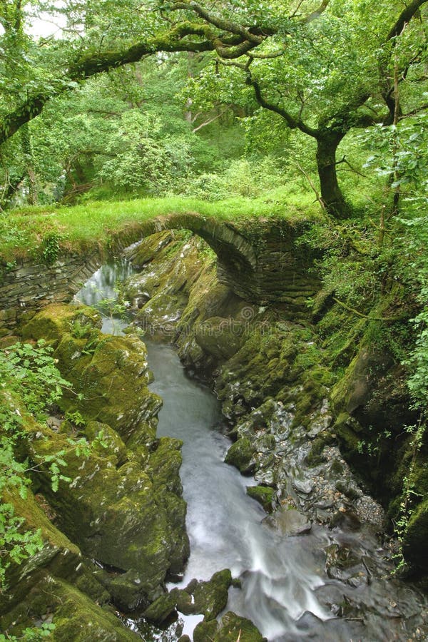 Ponticello 3 fotografia stock. Immagine di inglese, bici - 12321596