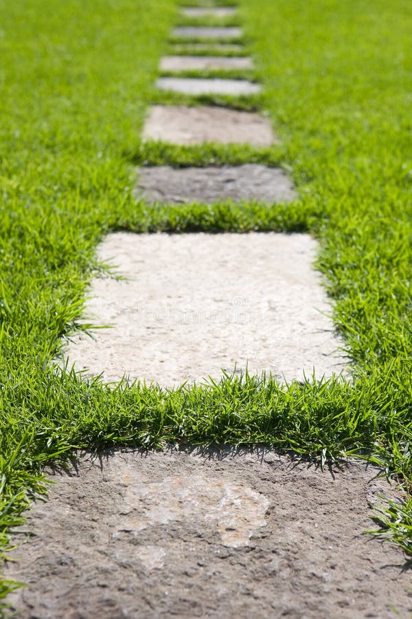 Ponto por ponto foto de stock. Imagem de velocidade, expectativa - 4506812