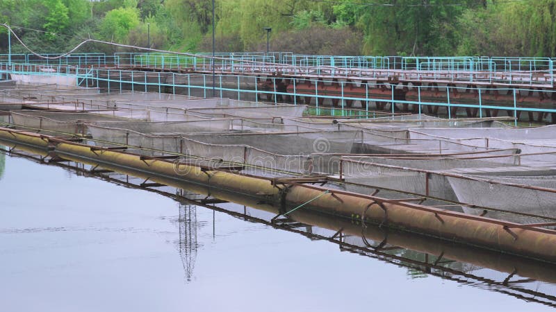 Fish Farm with Ponds. Bohol,Philippines Stock Video - Video of lake ...