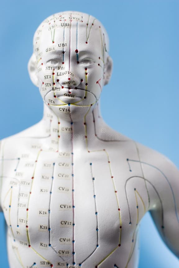 Pontos da acupunctura foto de stock. Imagem de corpo, shiatsu - 1660522