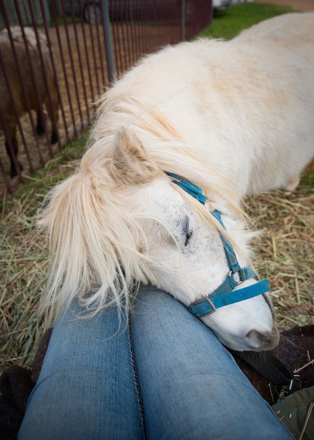 Nuzzling Human Stock Photos - Free & Royalty-Free Stock Photos from ...