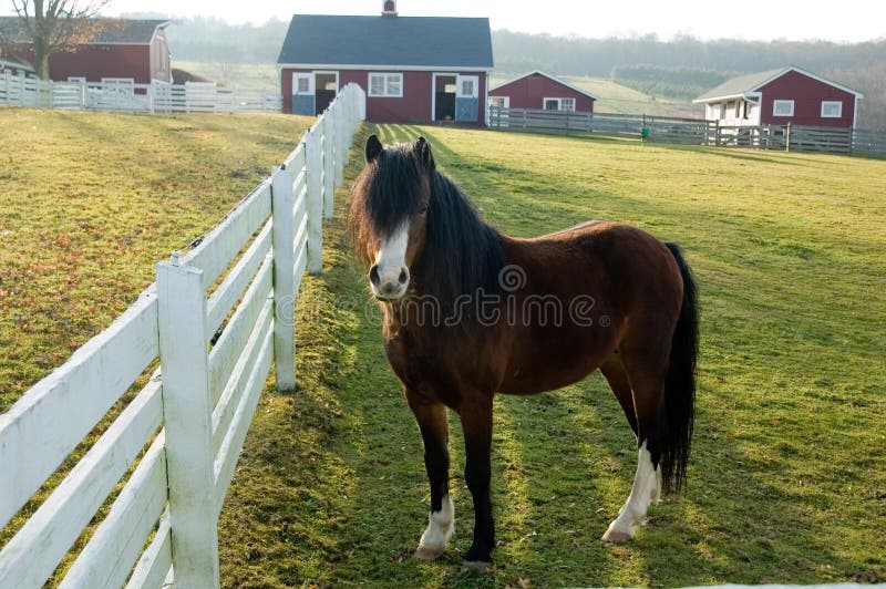 Beautiful Farmland Landscape Stock Image - Image of pastoral, blue: 3236759