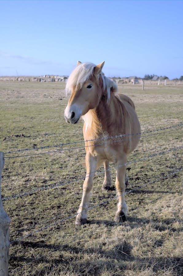 Front Picture. Image: 20048132