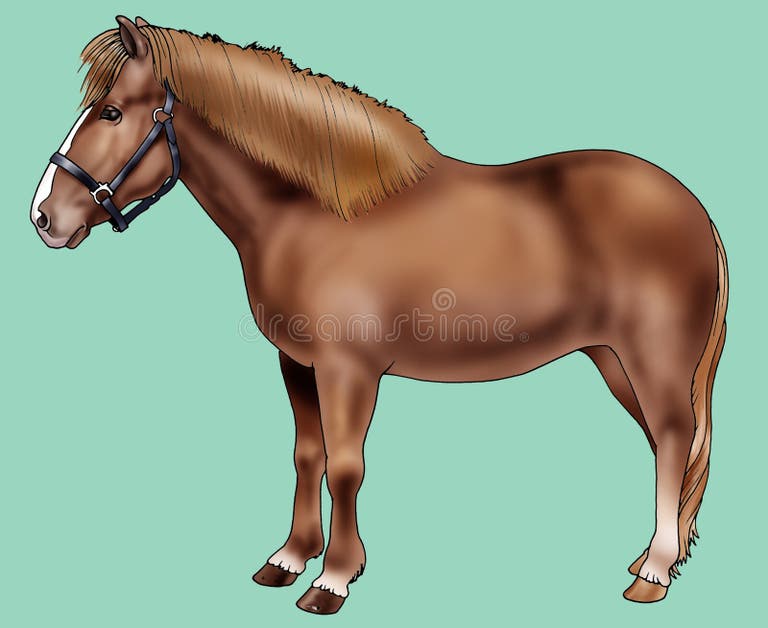 Pony Realistic Stock Illustrations – 726 Pony Realistic Stock ...