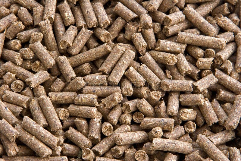 Pony nuts stock image. Image of pellets, nuts, equine - 2677027 Pony nuts stock image. Image of pellets, nuts, equine - 2677027