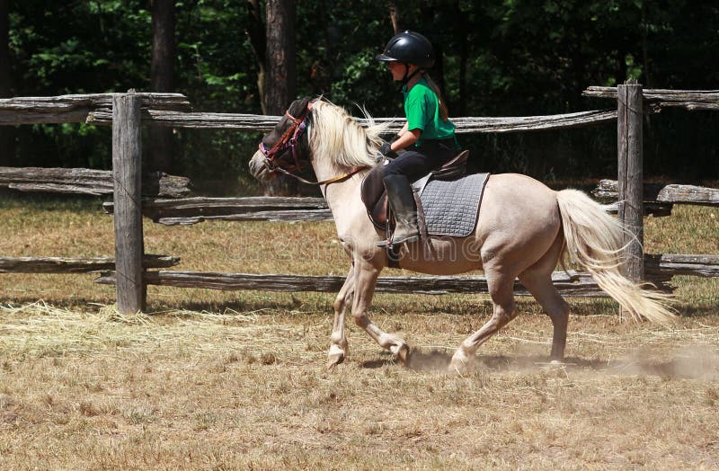 Pony Ride stock image. Image of tail, rider, riding, pony - 25935343