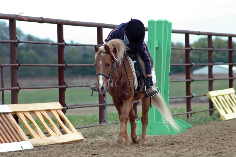Pony rider stock photo. Image of event, horse, equestrian - 3448758