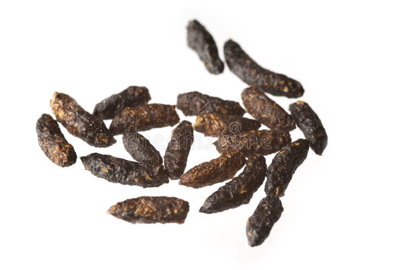 Poo Tabletten von der Maus stockbild. Bild von haufen - 17984919