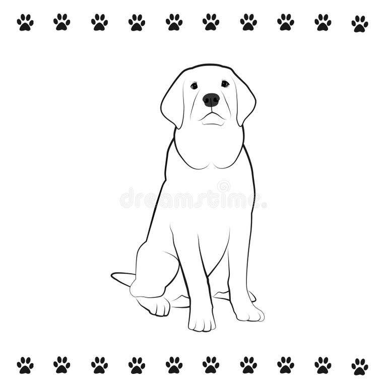 Labrador Line Drawing Stock Illustrations – 2,605 Labrador Line Drawing ...