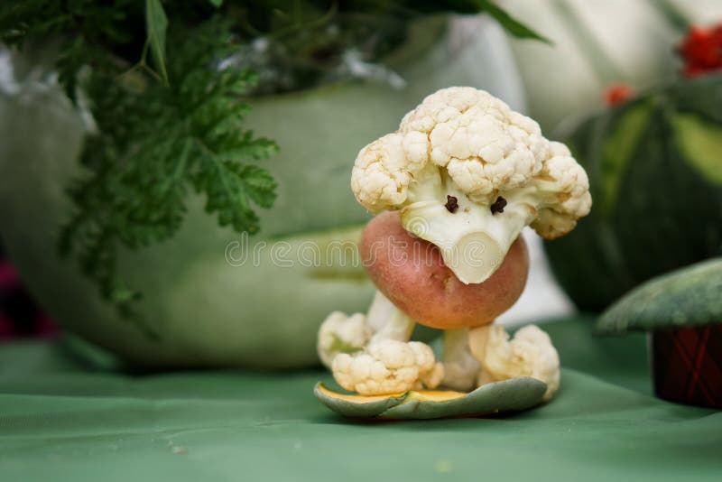Poodle from cauliflower. stock photo. Image of create - 125699904