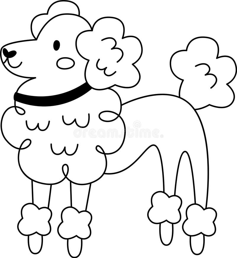 Poodle Dog Outline stock vector. Illustration of cartoon - 302128880