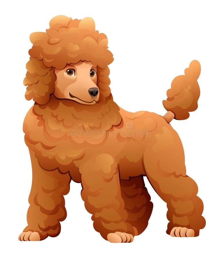 Poodle Dog Cartoon Illustration Stock Vector - Illustration of doggie ...