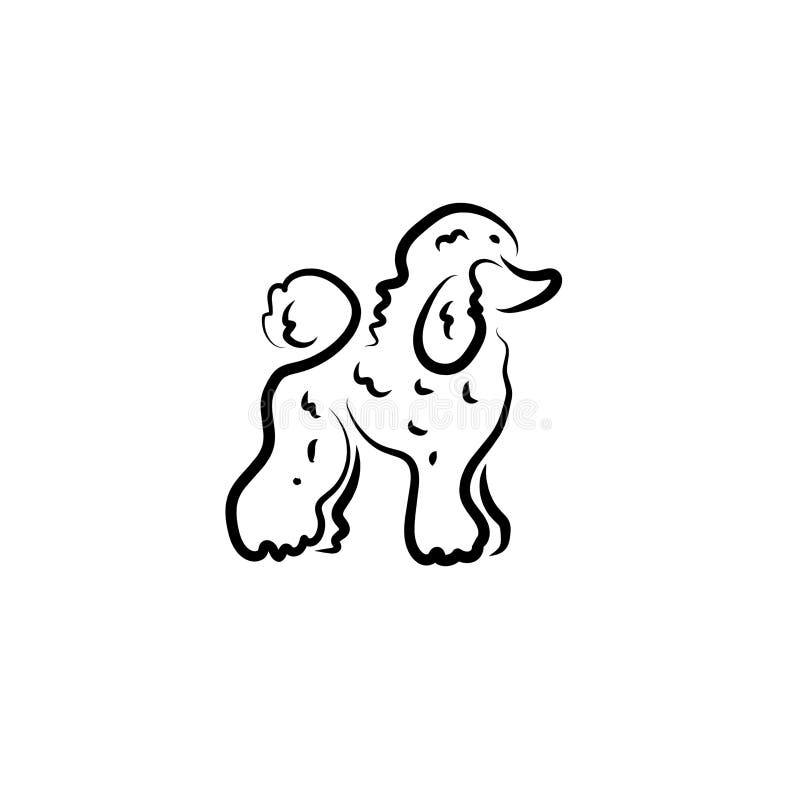 Poodle Dog Vector Illustration Logo Stock Vector - Illustration of icon ...