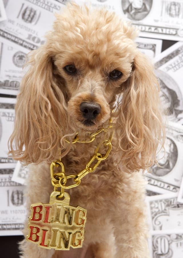 20,626 Bling Photos - Free & Royalty-Free Stock Photos from Dreamstime