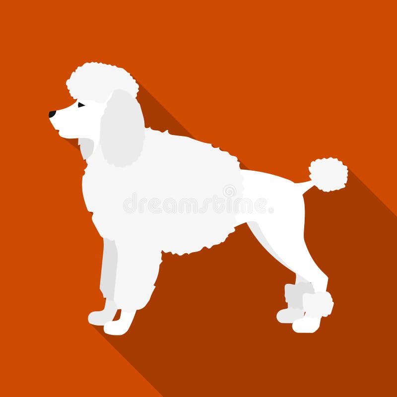 Poodle Vector Icon in Flat Style for Web Stock Vector - Illustration of show, cartoon: 91221107