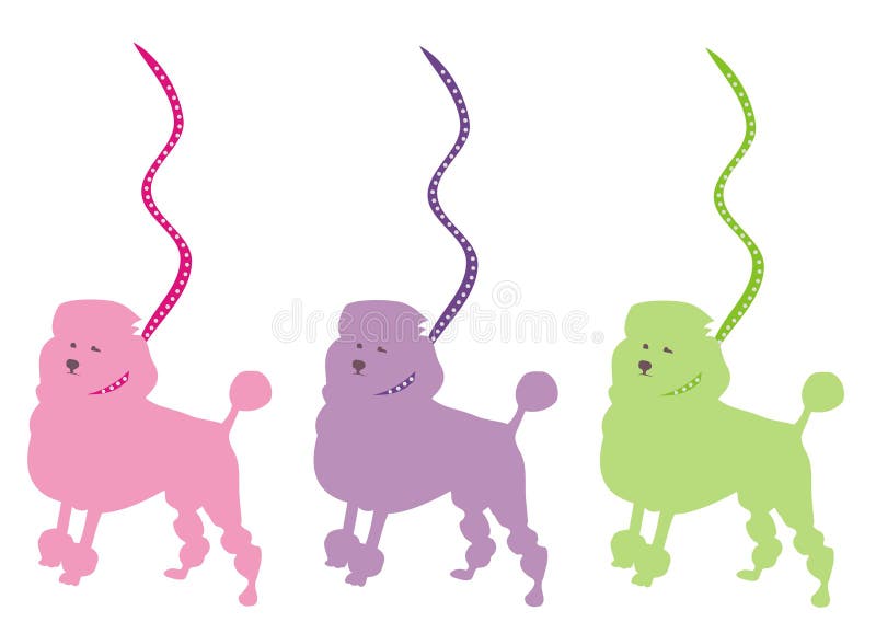Poodles in a line stock illustration. Illustration of coloured - 602325