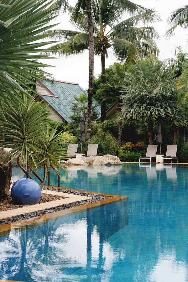 Pool area stock image. Image of exotic, modern, travel - 5642255