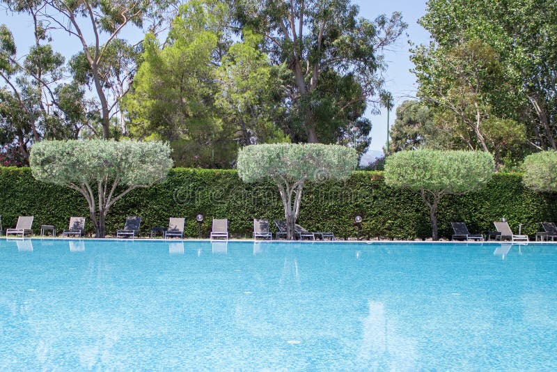 Pool Area. Swimming Pool with Palm Trees Stock Photo - Image of sunny ...