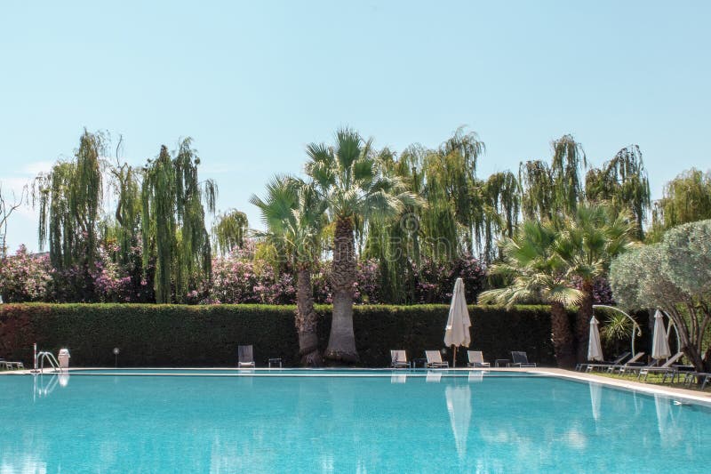 Pool Area. Swimming Pool with Palm Trees Stock Image - Image of ...