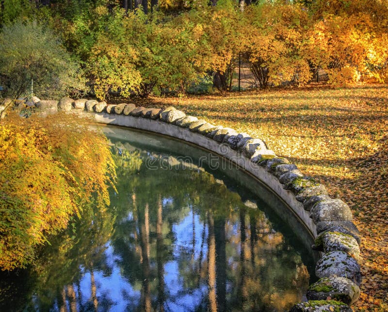 Pool stock photo. Image of fall, nature, park, leaves - 62095744